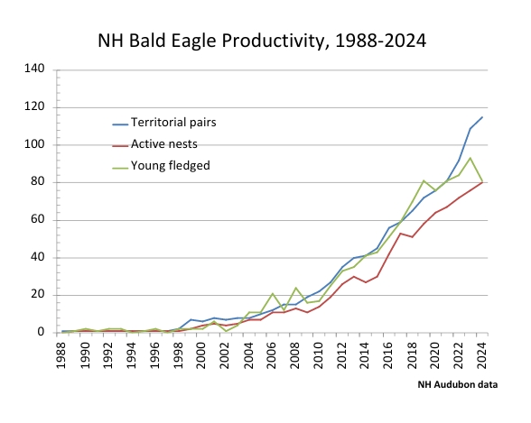 NH Bald Eagle 2024 Breeding Season Results - NH Audubon