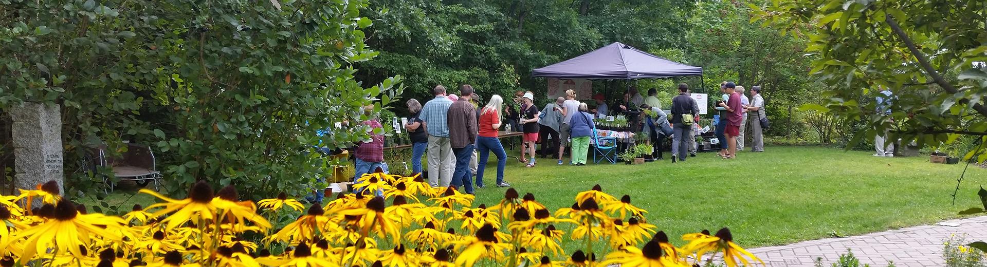 Pollinator Fest & Native Plant Sale - NH Audubon