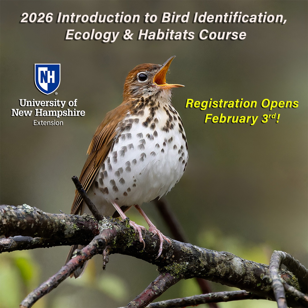 Registration Day for the 2026 Introduction to Bird Identification ...