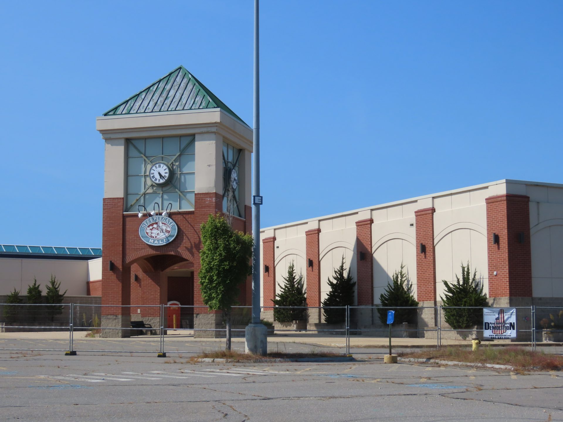 Protecting Common Nighthawks at Steeplegate Mall in 2024 - NH Audubon