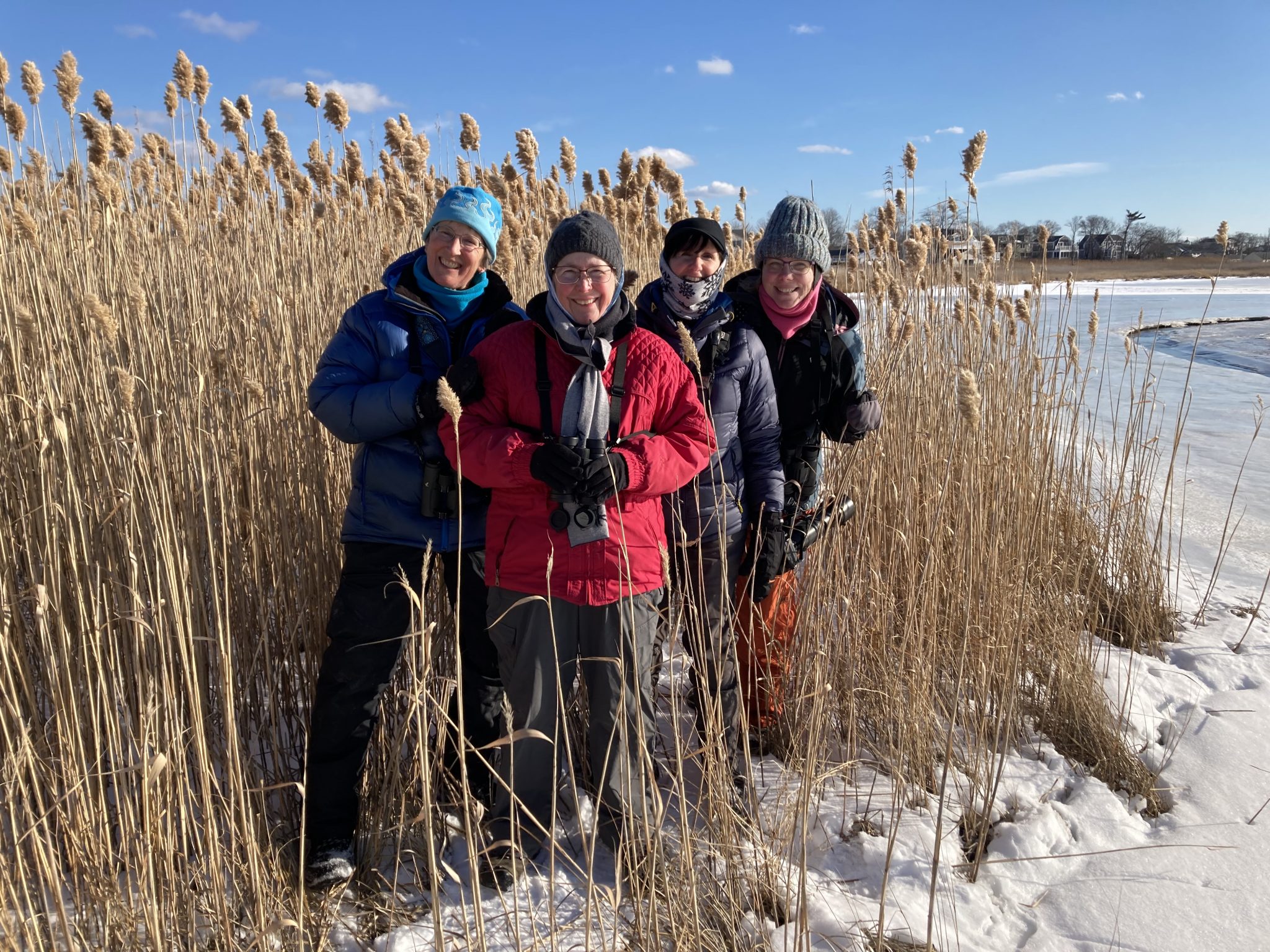 The Twitchers Are Gearing Up to Compete in the Superbowl of Birding ...