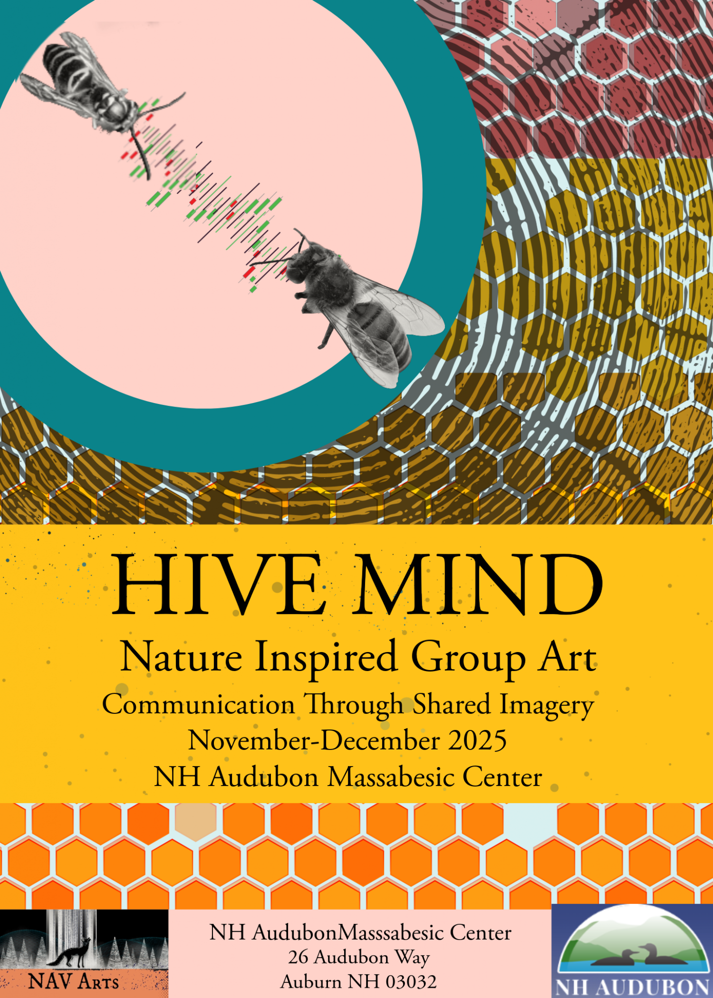 Plant Profiles: American Mountain Ash - NH Audubon