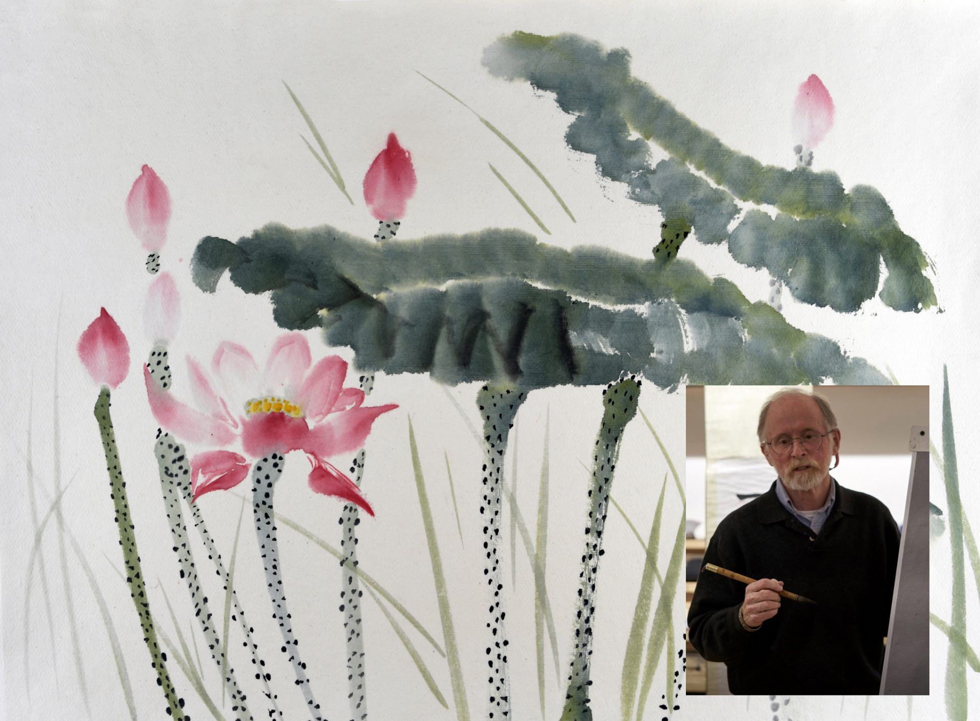 Timber Rattlesnake Awareness - NH Audubon