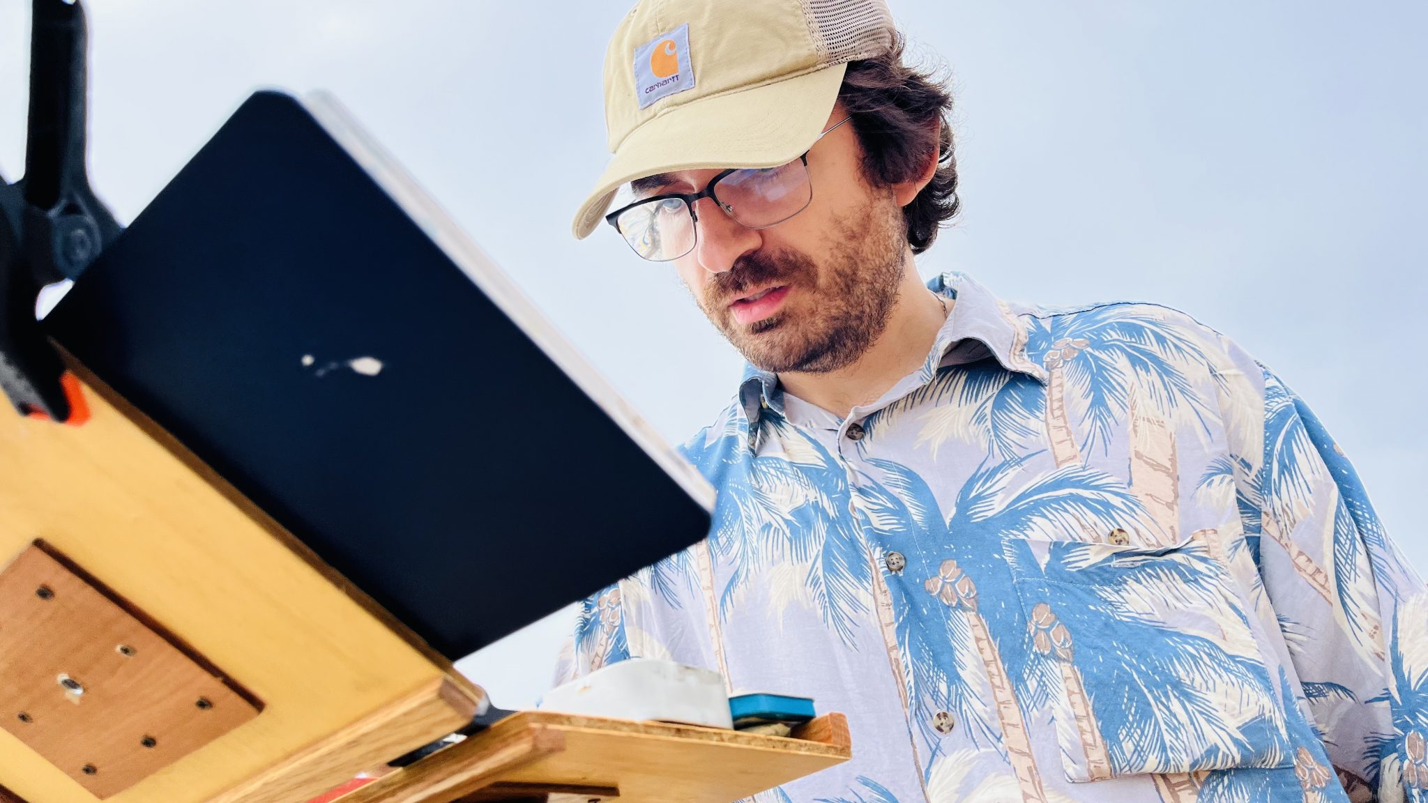 Plant Profiles: American Mountain Ash - NH Audubon