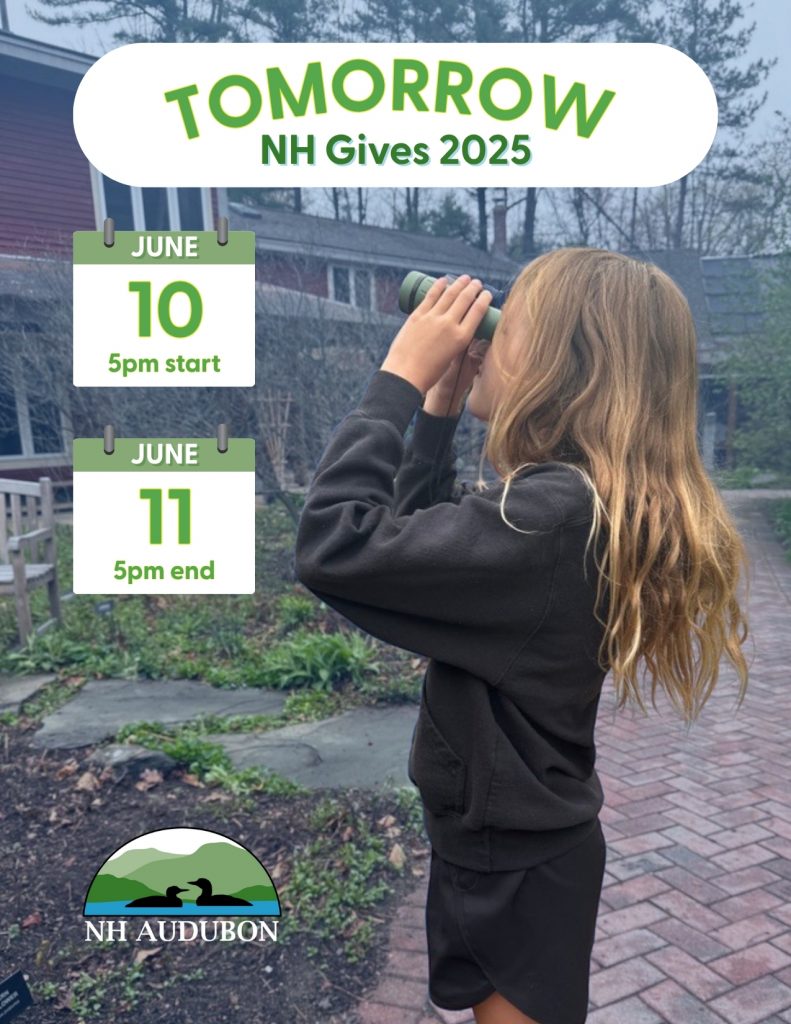 NH Gives Starts Tomorrow! - NH Audubon
