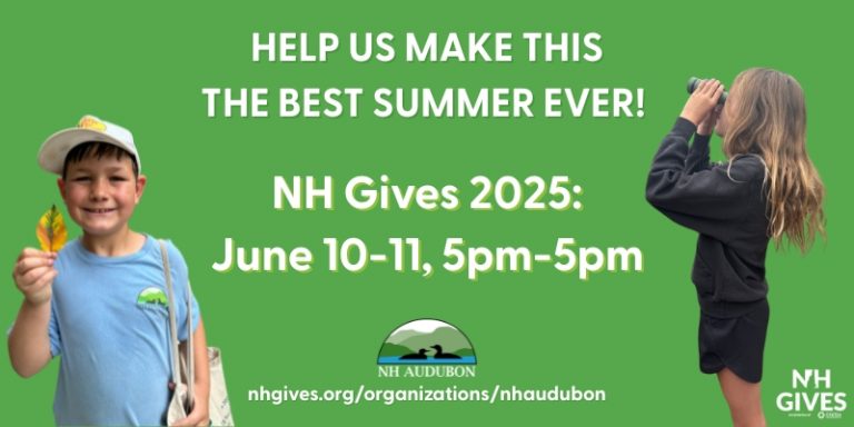 NH Gives 2025 - NH Audubon